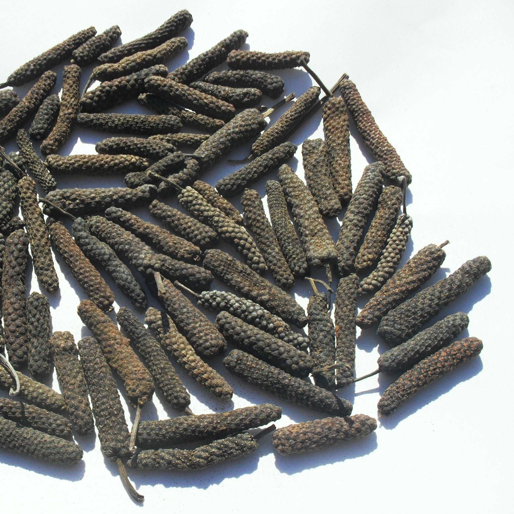 Long Pepper / Pippali / पिप्पली – zaycca